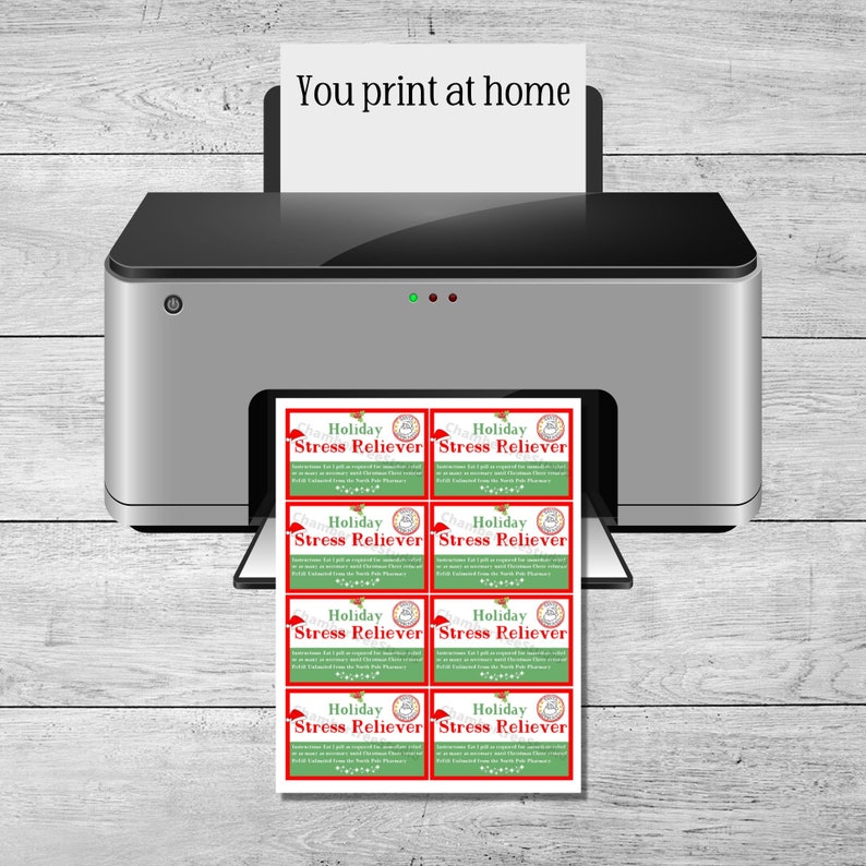 Fun Christmas Gag Gift, Secret Santa Gift Idea, Holiday Stress Reliever ...