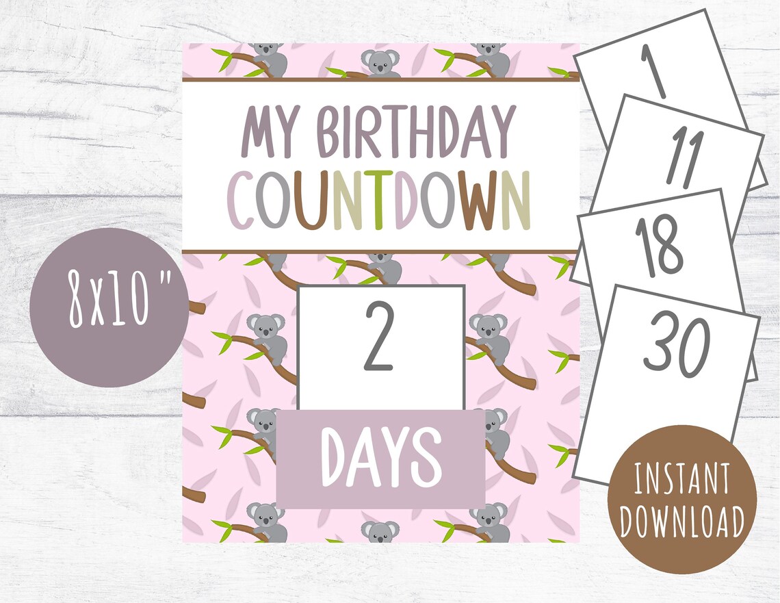 Birthday Countdown Calendar, Printable DIY Kids Birthday Countdown Sign ...