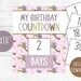 Birthday Countdown Calendar, Printable DIY Kids Birthday Countdown Sign ...