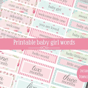 Baby Girl Words – Printable Baby Sentiments for Junk Journals ...