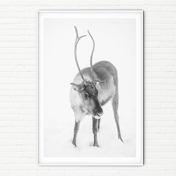 Christmas Reindeer Black and White - Etsy