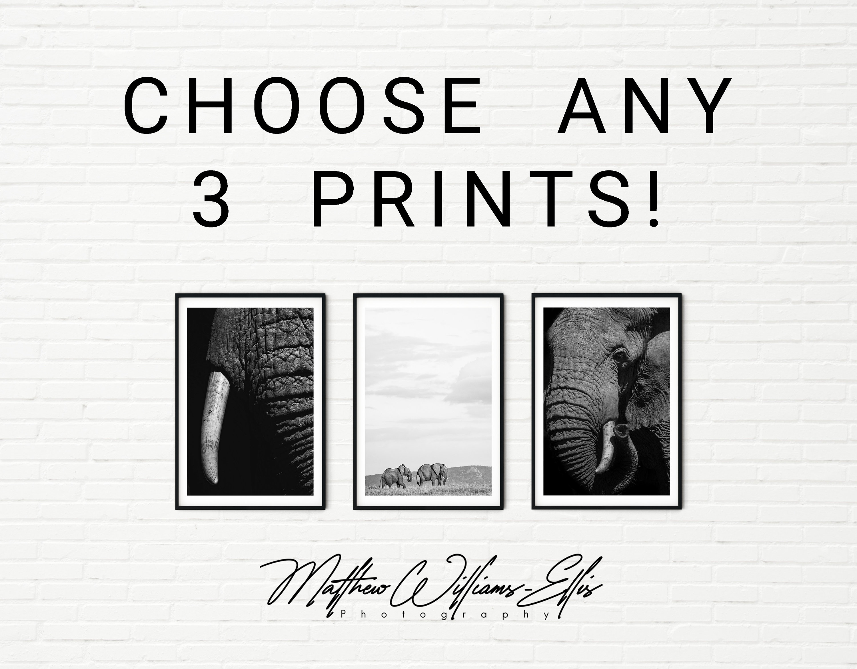 Mix and Match Any 3 Photography Prints to Create a Custom Print Set ...