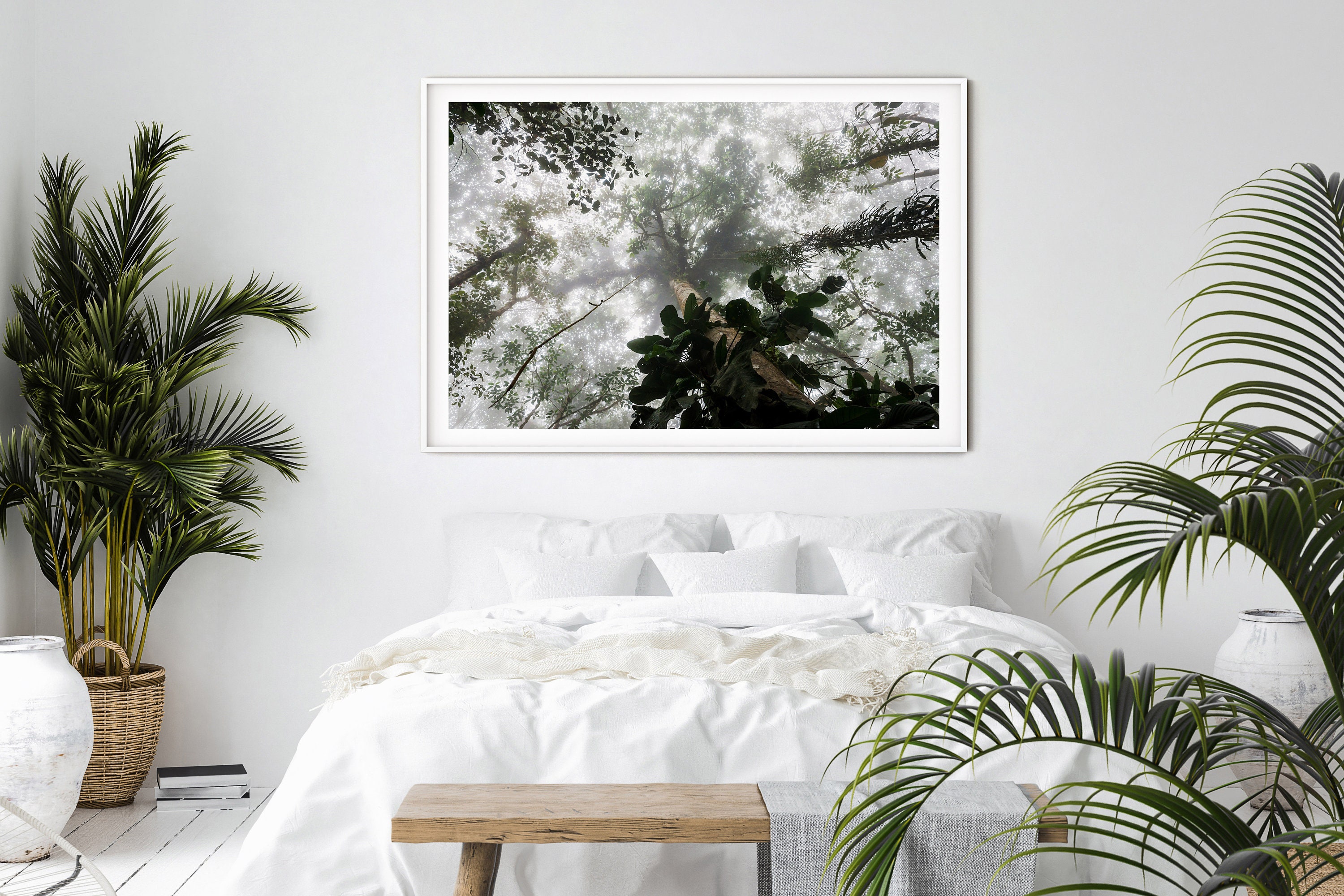 Amazon Rainforest Photography Print | Tropical Fine Art Nature Photo ...