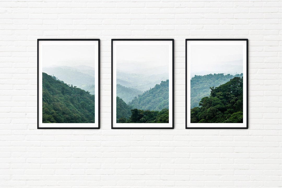 Misty Rainforest Trees Landscape Photography Prints Set of 3 ...