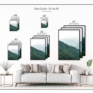 Misty Rainforest Trees Landscape Photography Prints Set of 3 ...