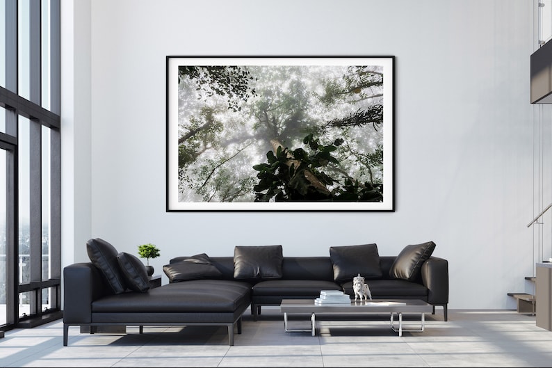 Amazon Rainforest Photography Print | Tropical Fine Art Nature Photo ...