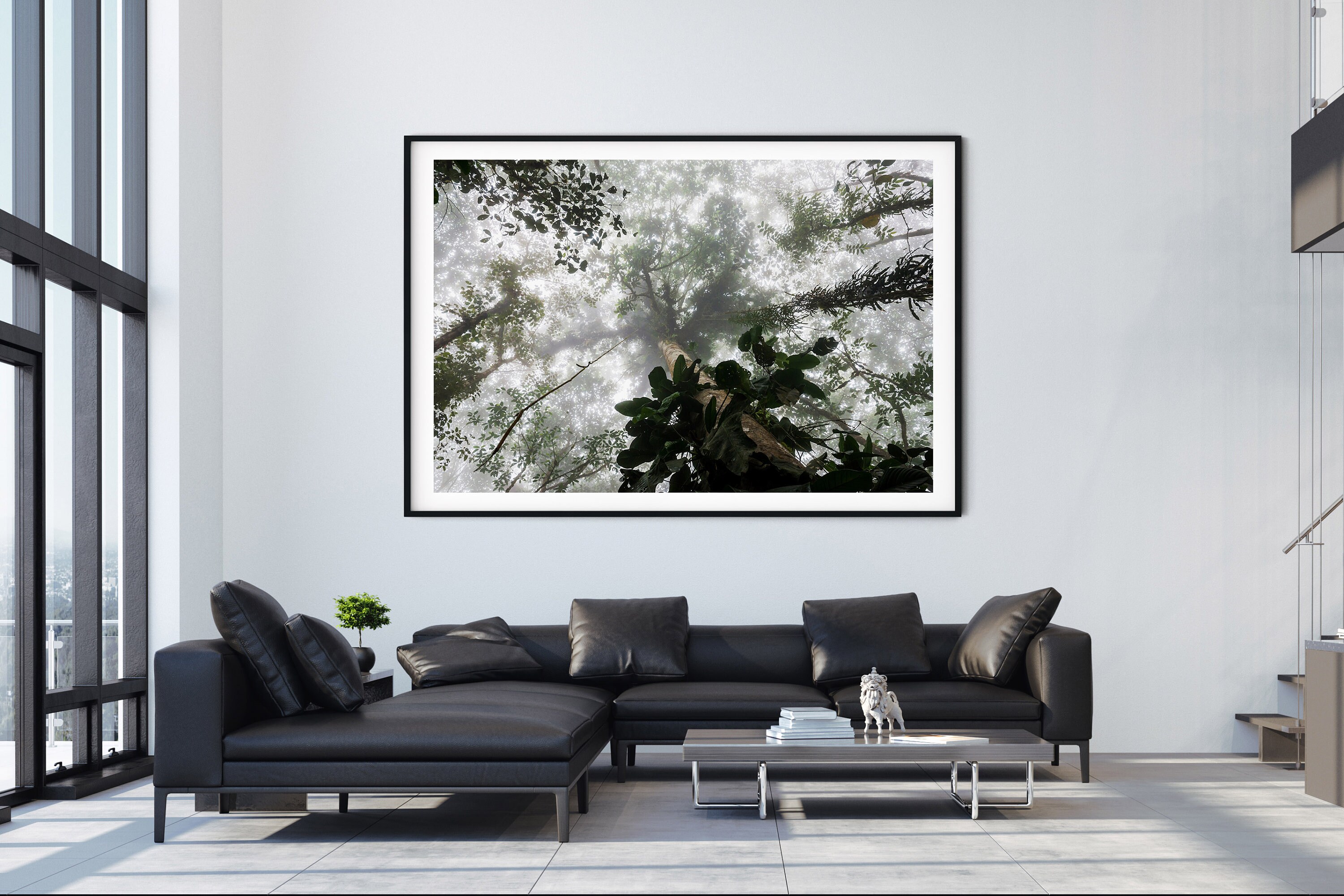 Amazon Rainforest Photography Print | Tropical Fine Art Nature Photo ...