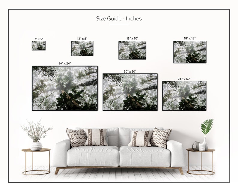 Amazon Rainforest Photography Print | Tropical Fine Art Nature Photo ...