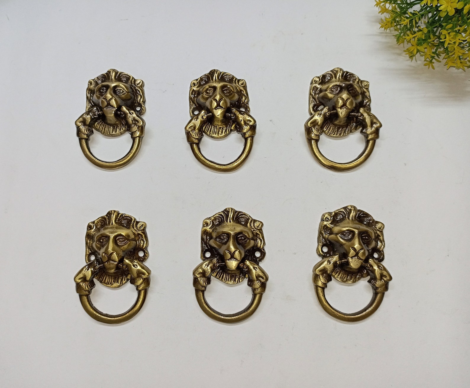 Lacquered Brass Lion Beast Theme Drawer Knobs | Felis Leo Head Design ...