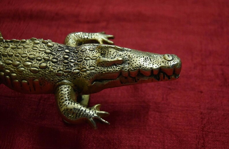 Wild Lizard Door Handle Brass Crocodile Door Pull Door | Etsy