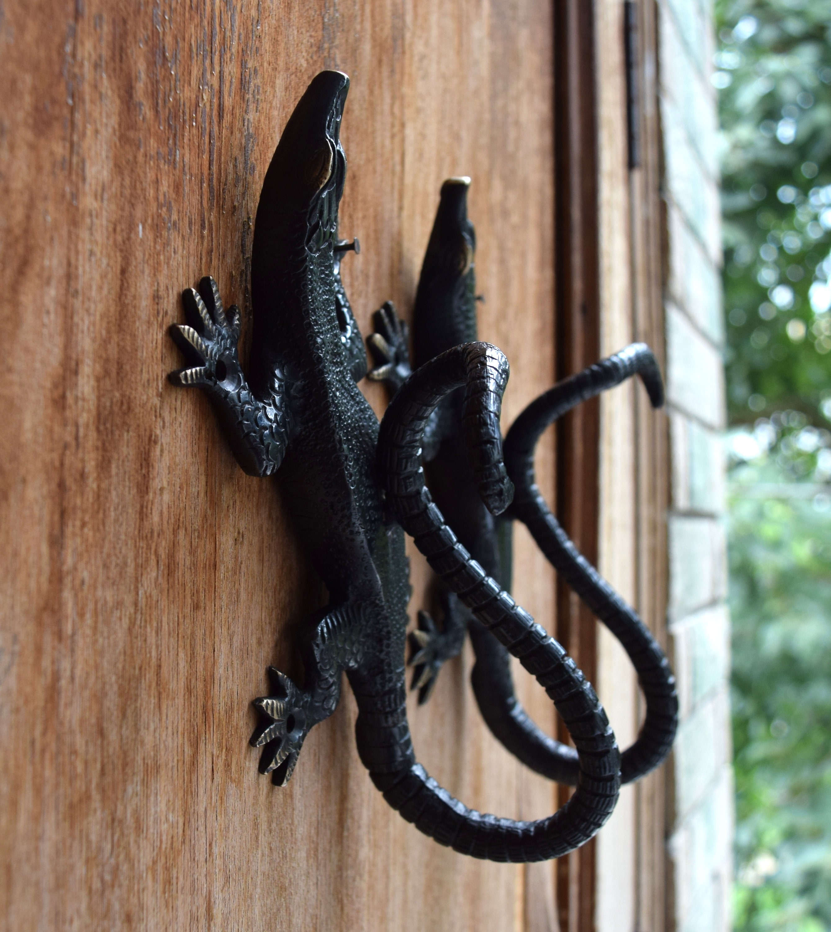 Black Cambodian Lizard Handle Set Brass Reptile Design Door | Etsy