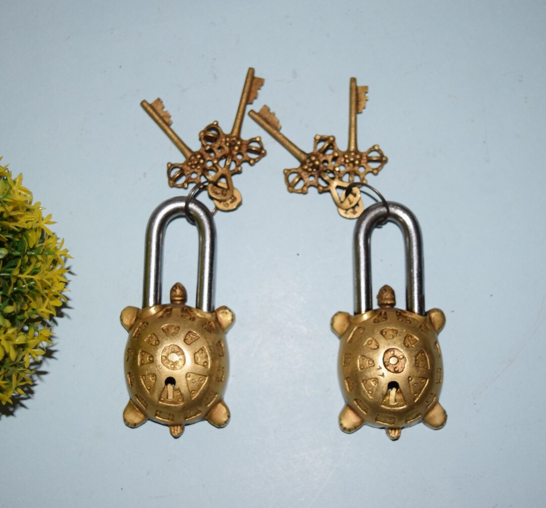 Turtle Lock Set of 2 Pieces | Brass Tortoise Padlock - Etsy