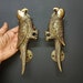 Macaw Bird Design Door Handle | Lacquered Brass Parrot Bedroom Door ...