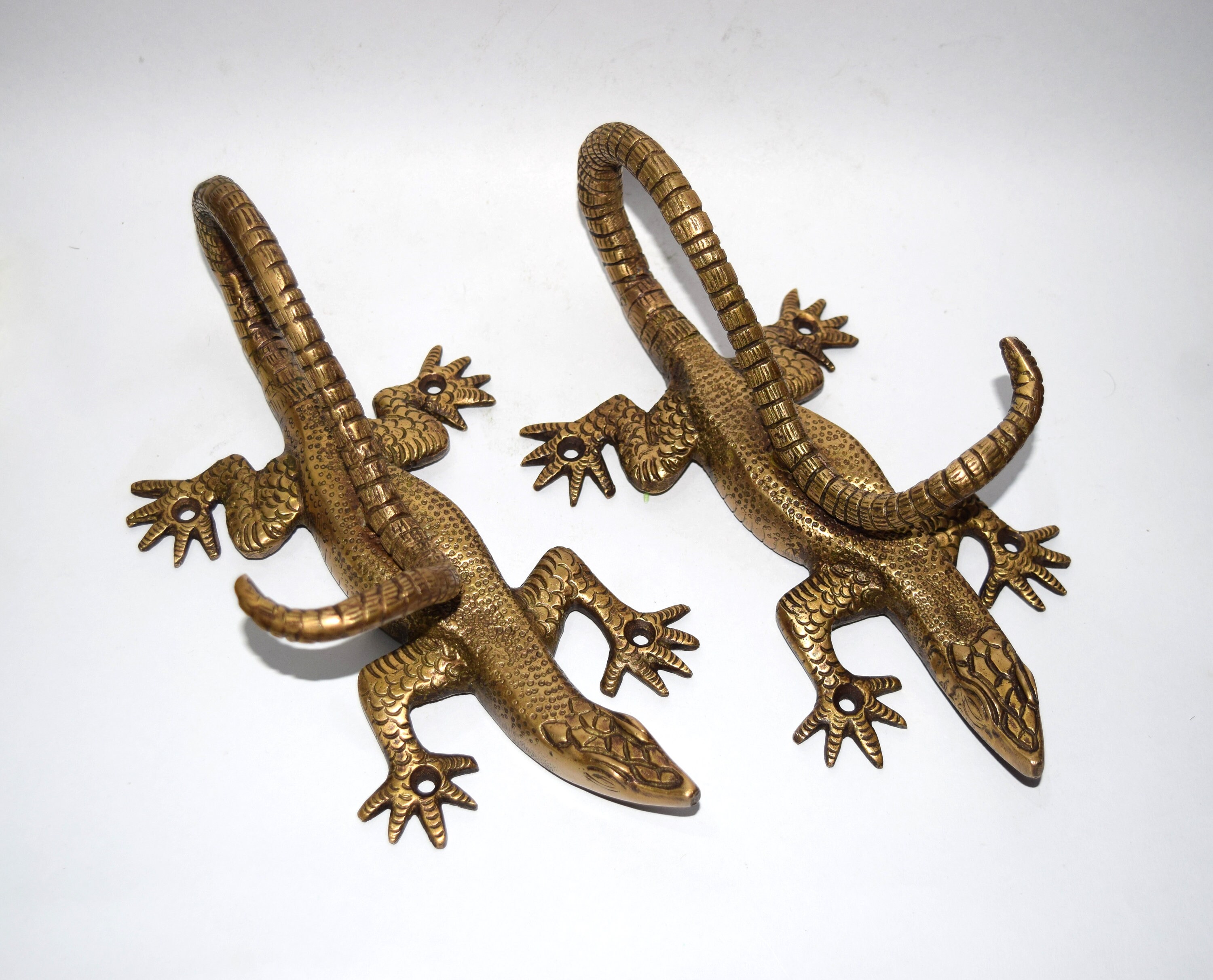 9 Inches Wild Lizard Door Handle Brass Reptile Dragon | Etsy