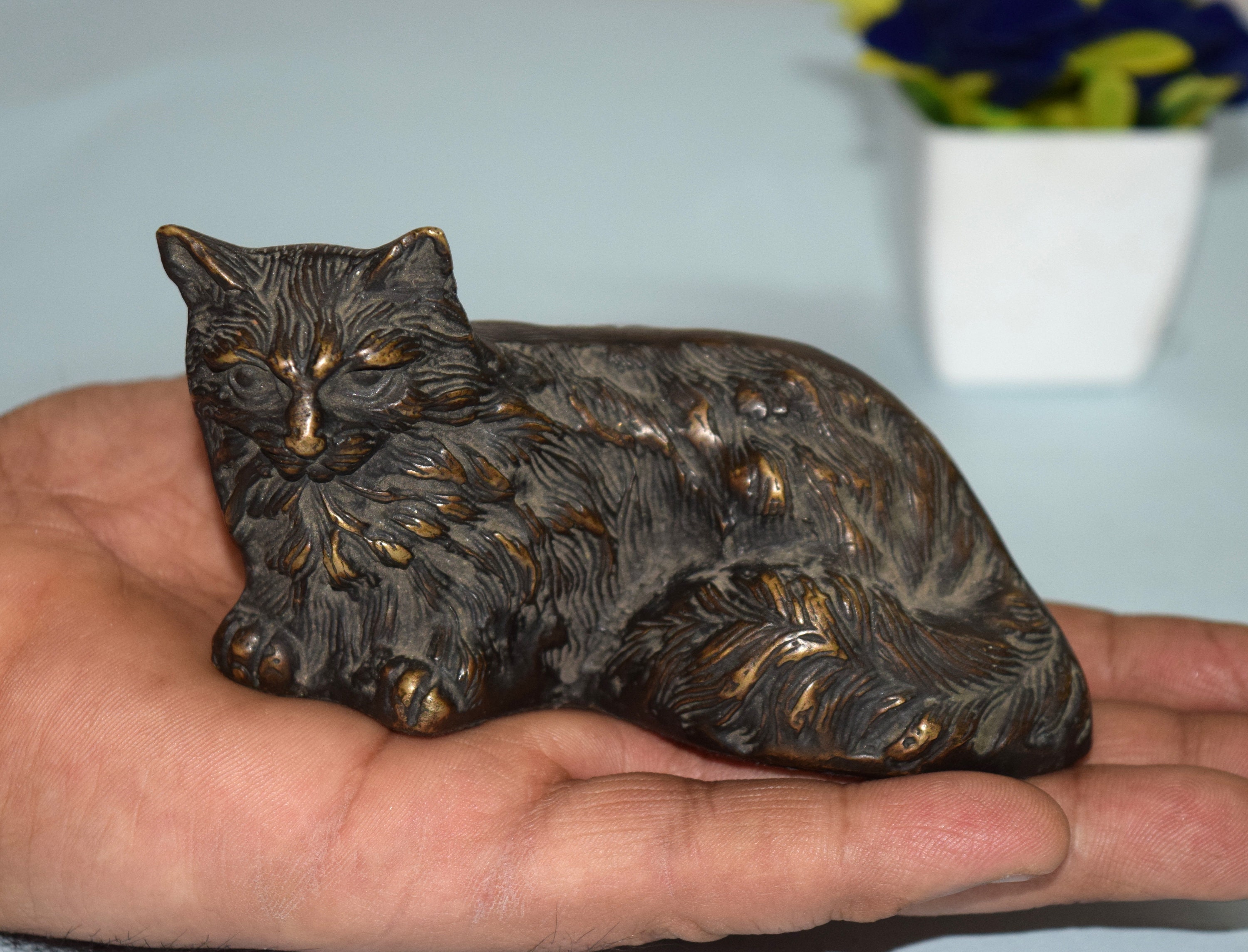 Persian Cat Sitting Statue Brass Cat Breed Theme Table - Etsy