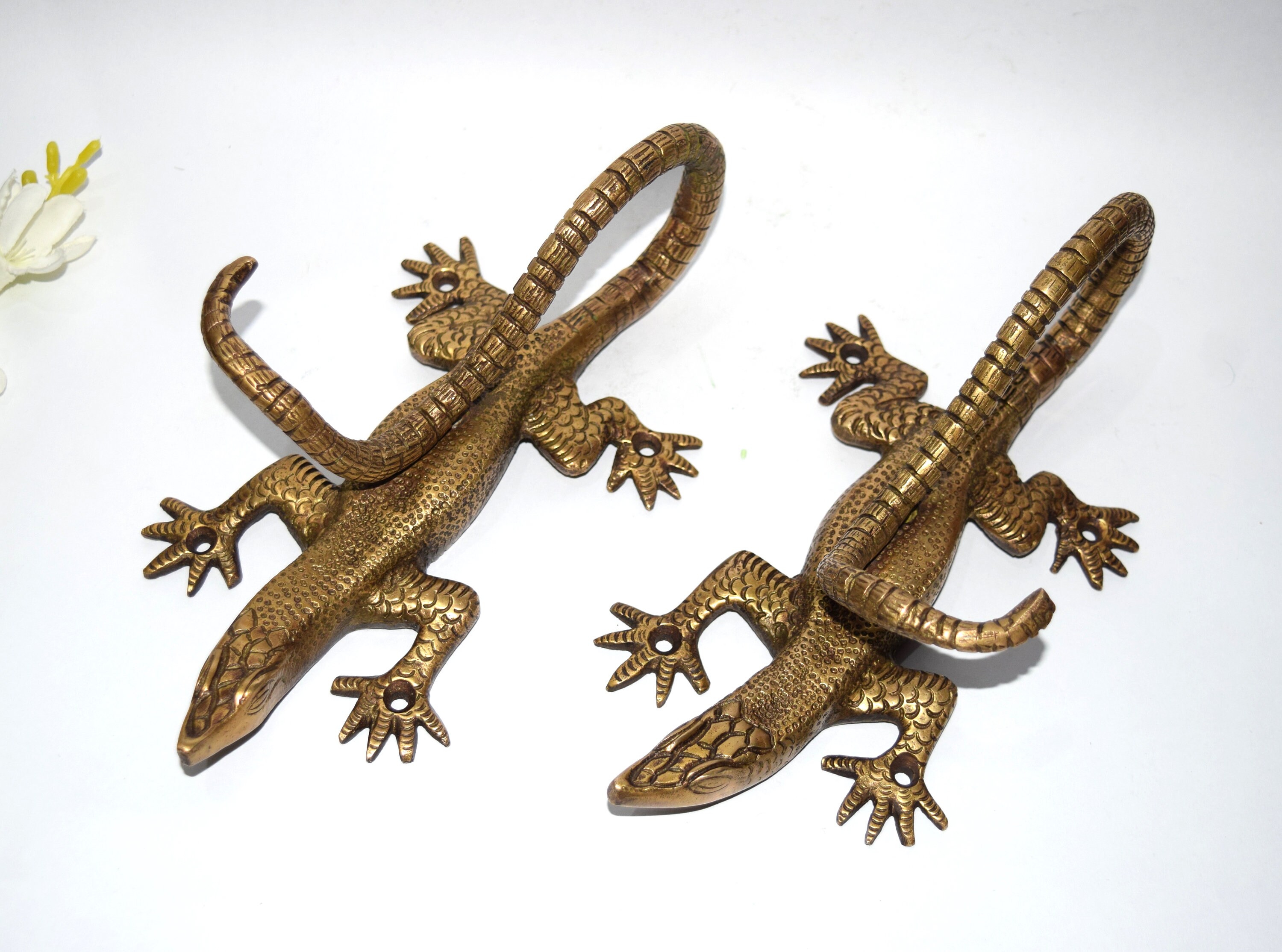 9 Inches Wild Lizard Door Handle Brass Reptile Dragon | Etsy