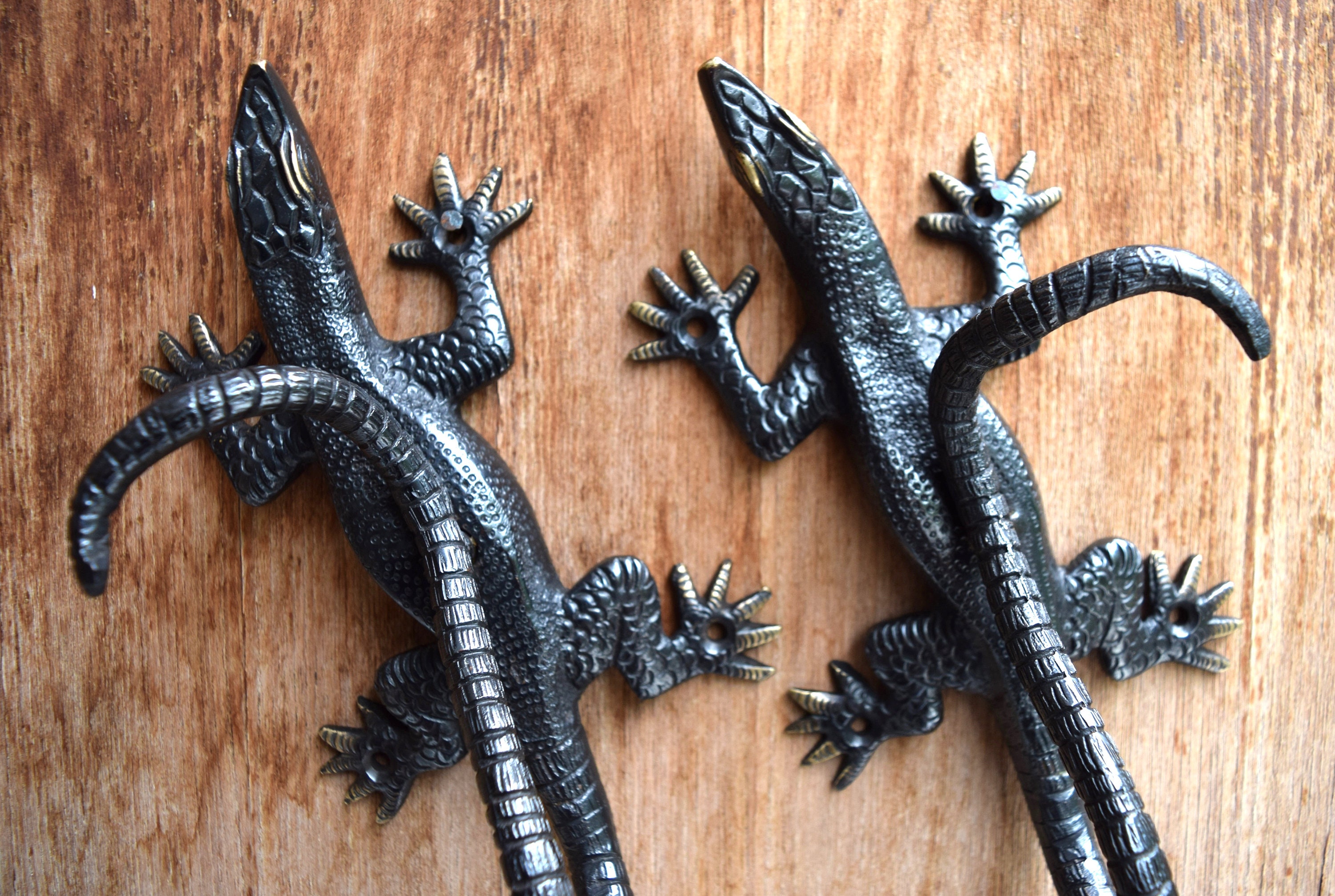 Black Cambodian Lizard Handle Set Brass Reptile Design Door | Etsy