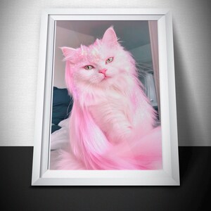 Pink Glitter Cat Art Print - Sparkle Glam Kitten Wall Decor - Funny ...