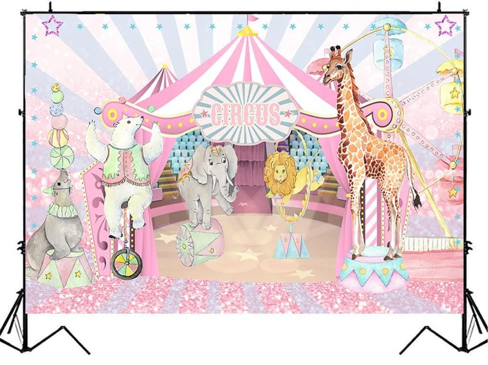 Pink Carnival Party Backdrop, Circus Tent Carnival Birthday Vinyl Photo ...