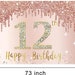 12th Birthday Banner Backdrop Rose Gold Happy 12th Birthday Backdrop ...