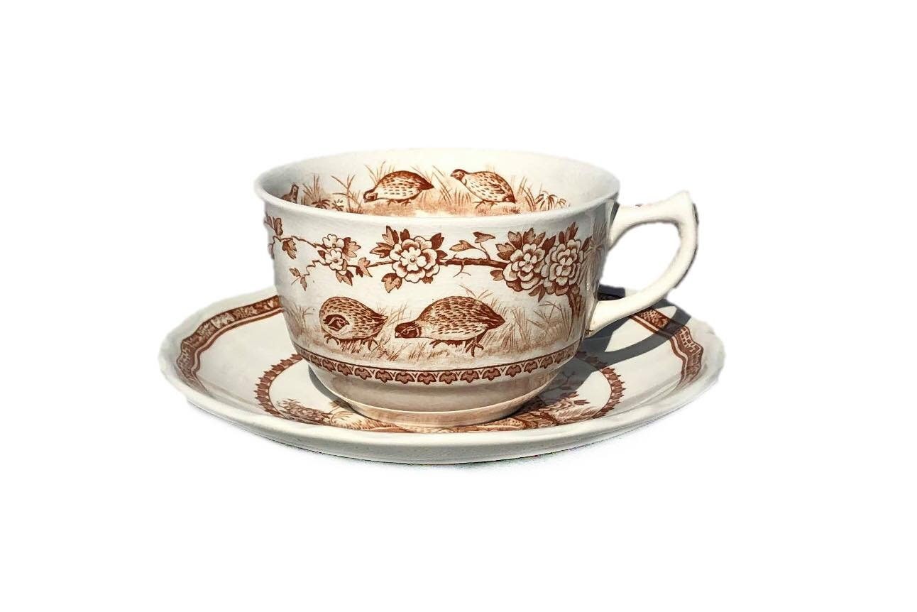 1921 Furnival's Brown Quail Pattern Teacup and Saucer Set - Etsy