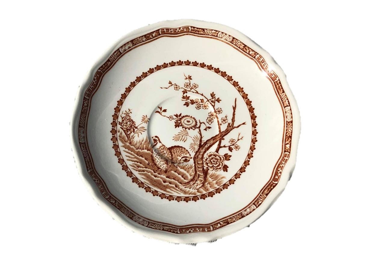 1921 Furnival's Brown Quail Pattern Teacup and Saucer Set - Etsy