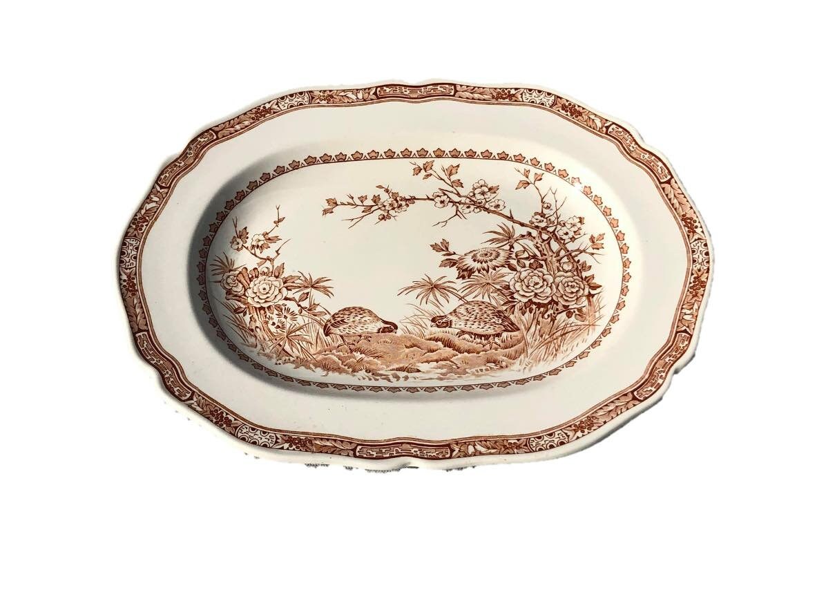 1921 Furnival's Brown Quail Pattern Teacup and Saucer Set - Etsy