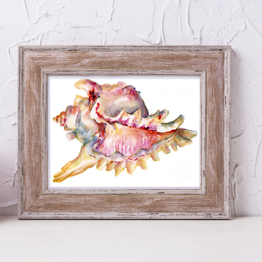 Conch Shell Watercolor Painting: Nautical Wall Art Print - Etsy