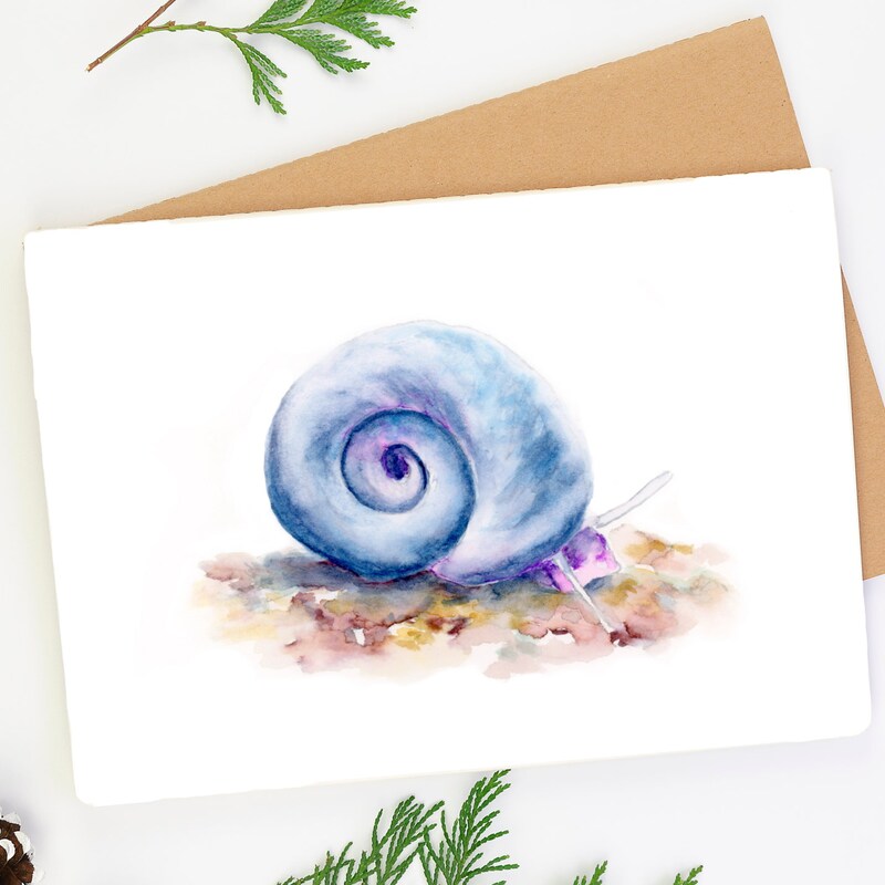 Snail Art Print - Etsy