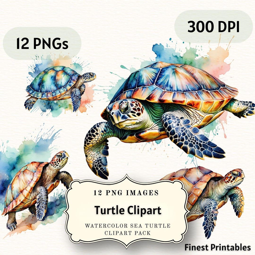 Watercolor Sea Turtle Clipart Set: Ocean Animal (12 PNG Digital ...