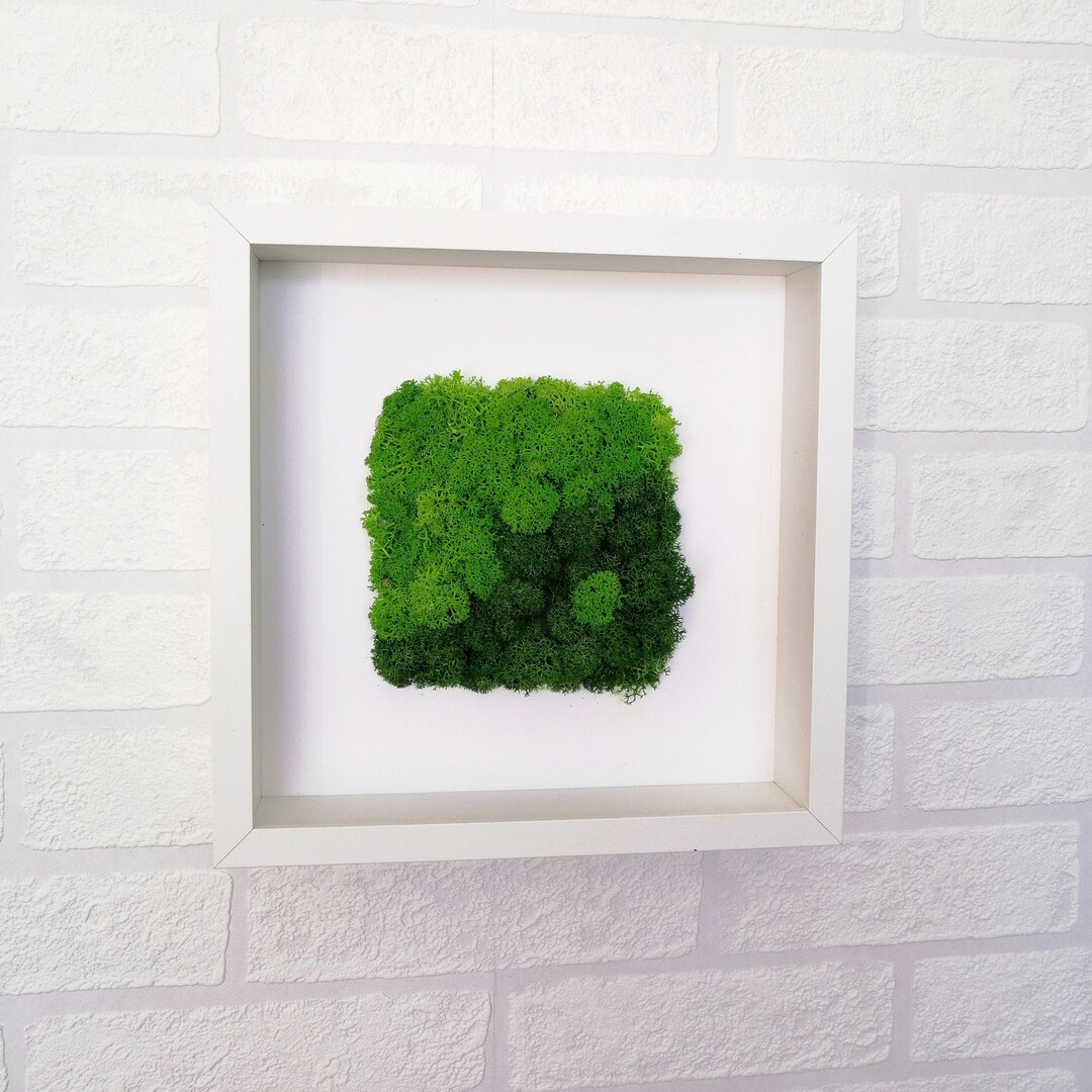 Moss Wall Hanging, Preserved Moss in White Frame, Green Decor, Wall Art ...