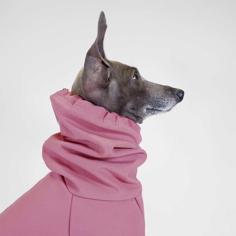 Dusty Pink Whippet Raincoat - Fleece Lined Waterproof Dog Coat - Etsy