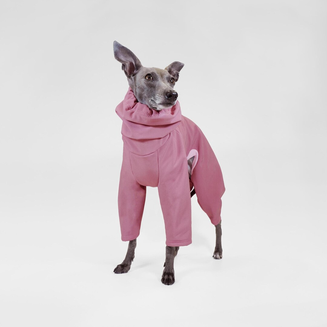 Dusty Pink Whippet Raincoat - Fleece Lined Waterproof Dog Coat - Etsy