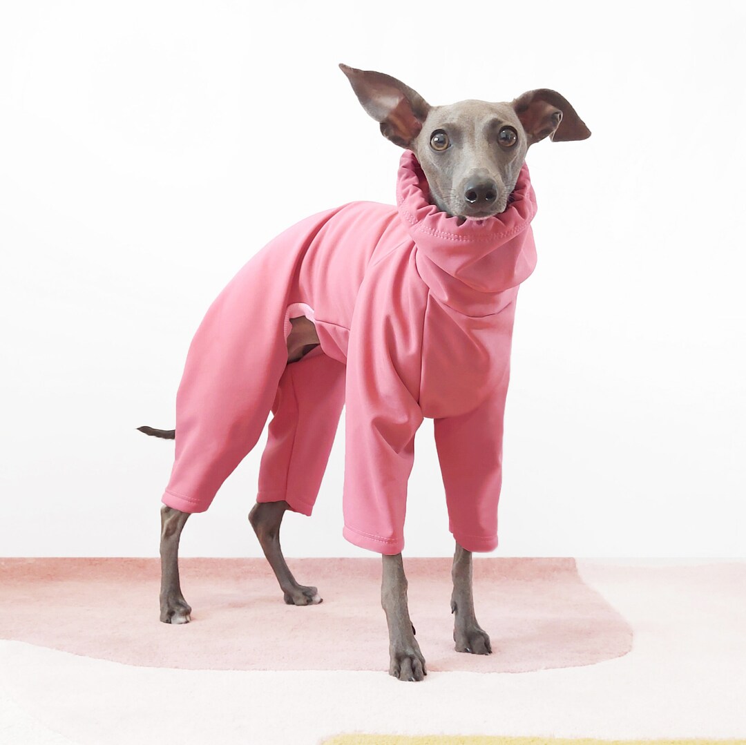 Whippet Regenmantel DUSTY PINK RAINSUIT Wasserdichter Whippet-Mantel ...