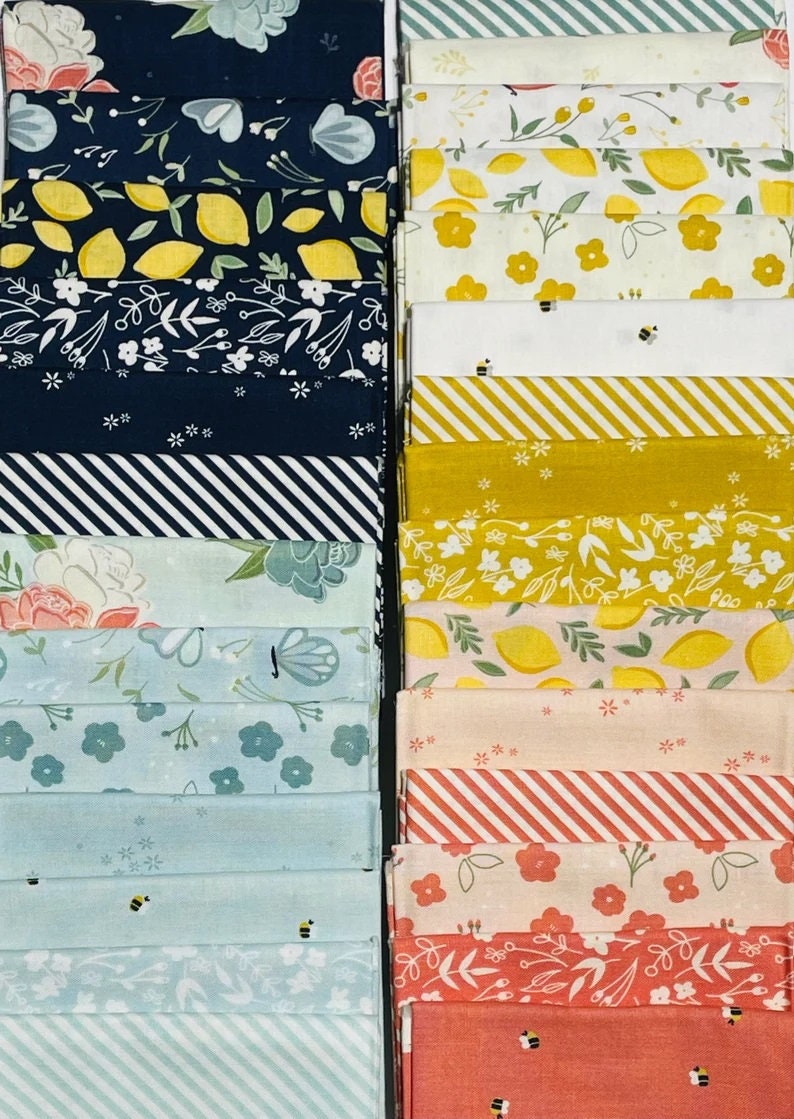 Riley Blake's "daybreak" by Fran Gulick Charm Pack (42 - 5 Inch Squares ...