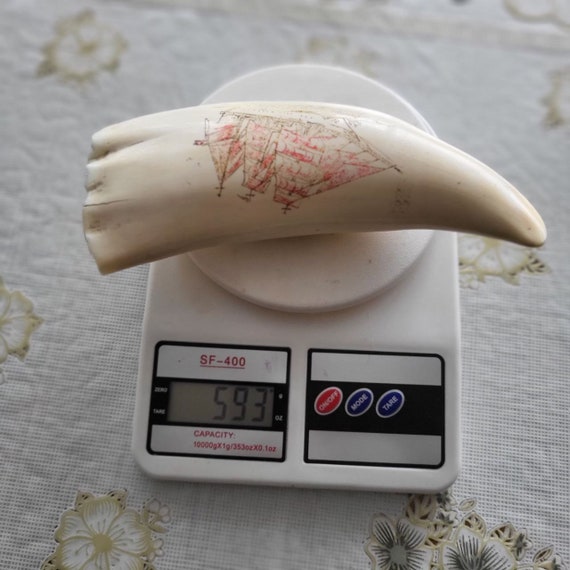 Excellent REPLICA Sperm Whale Tooth Made of Plastic Hight - Etsy