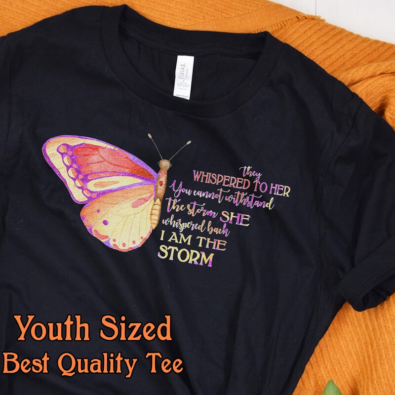 I Am the Storm Shirt - Etsy