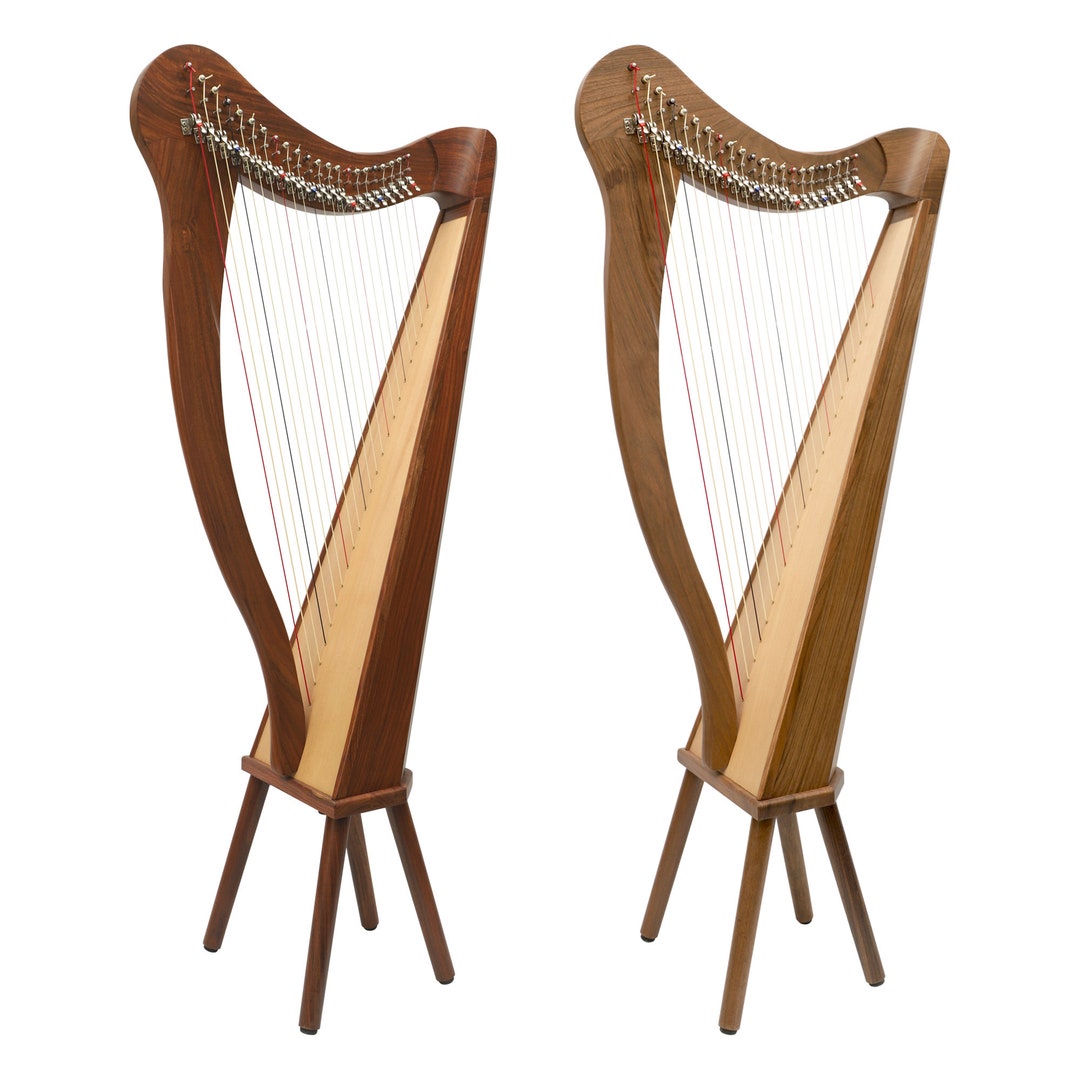 Celtic Irish Harp, 22 String Ard Ri Irish Lever Harp, Hand Made Ireland ...