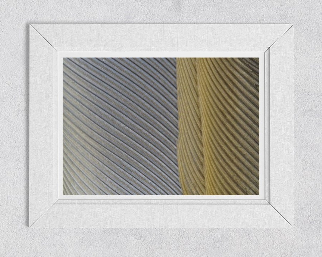 Digital | Bird Feather Geometry Pattern | Natural Abstract Art ...