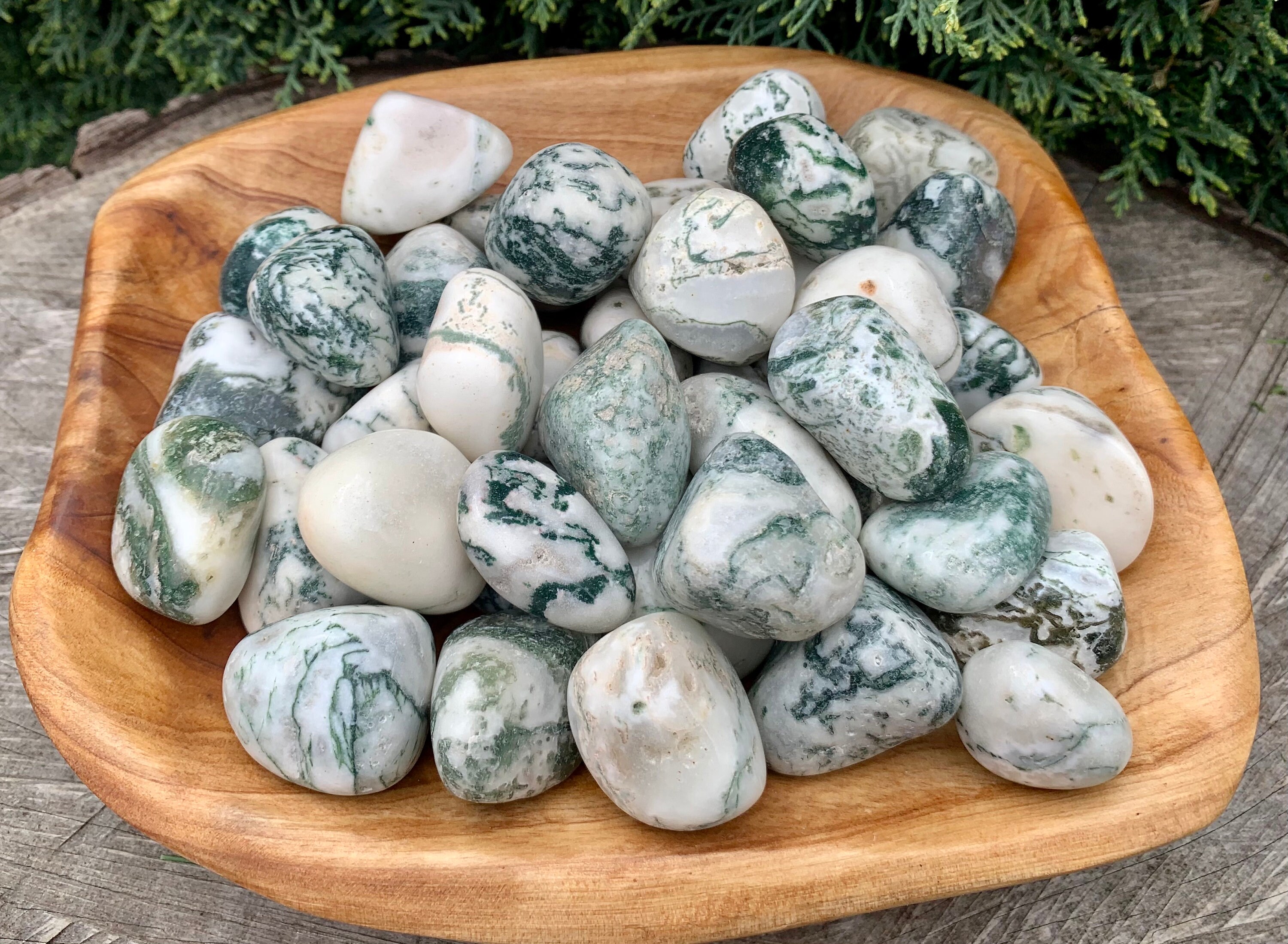 Tree Agate Tumbled Stone - Etsy
