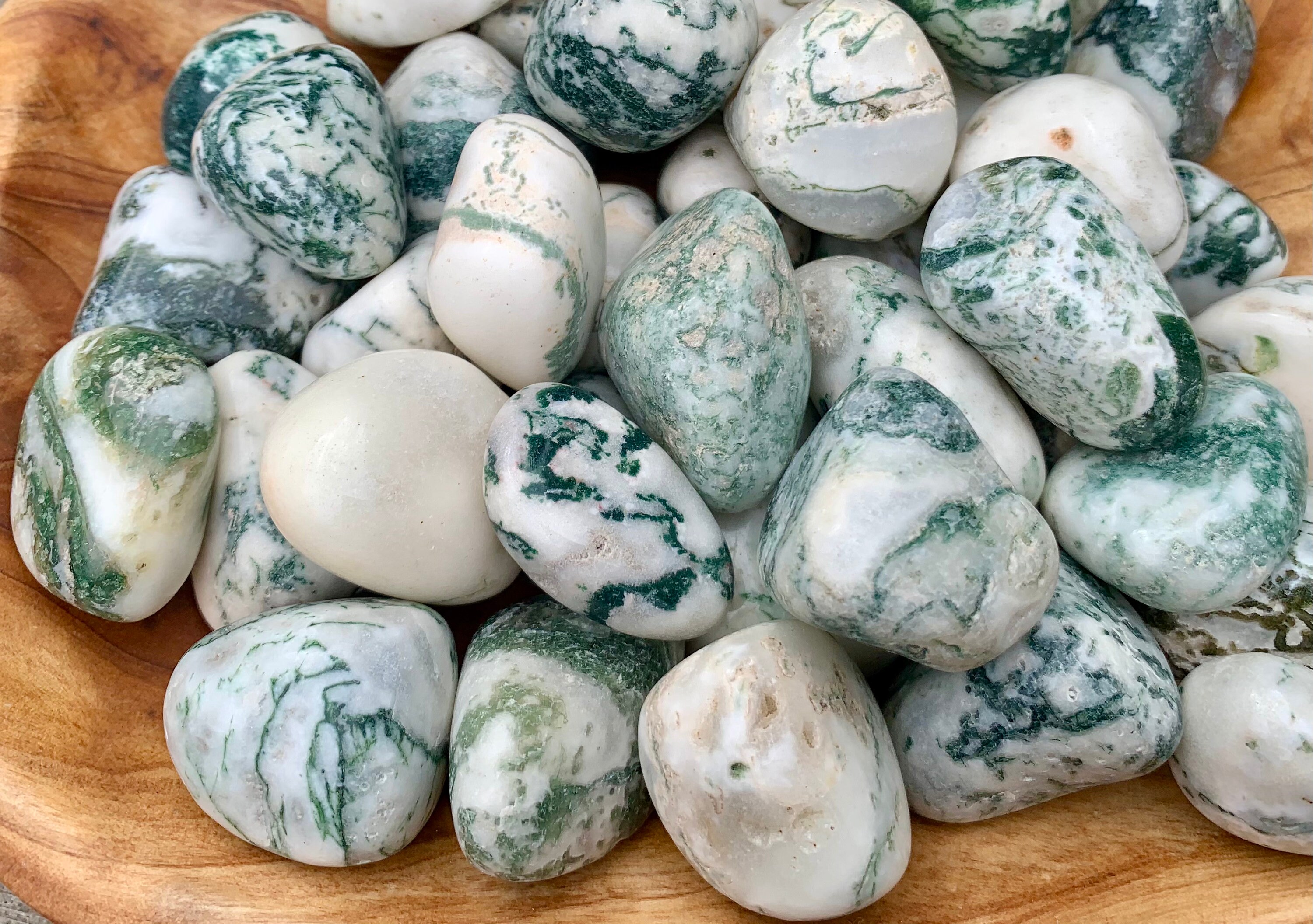 Tree Agate Tumbled Stone - Etsy