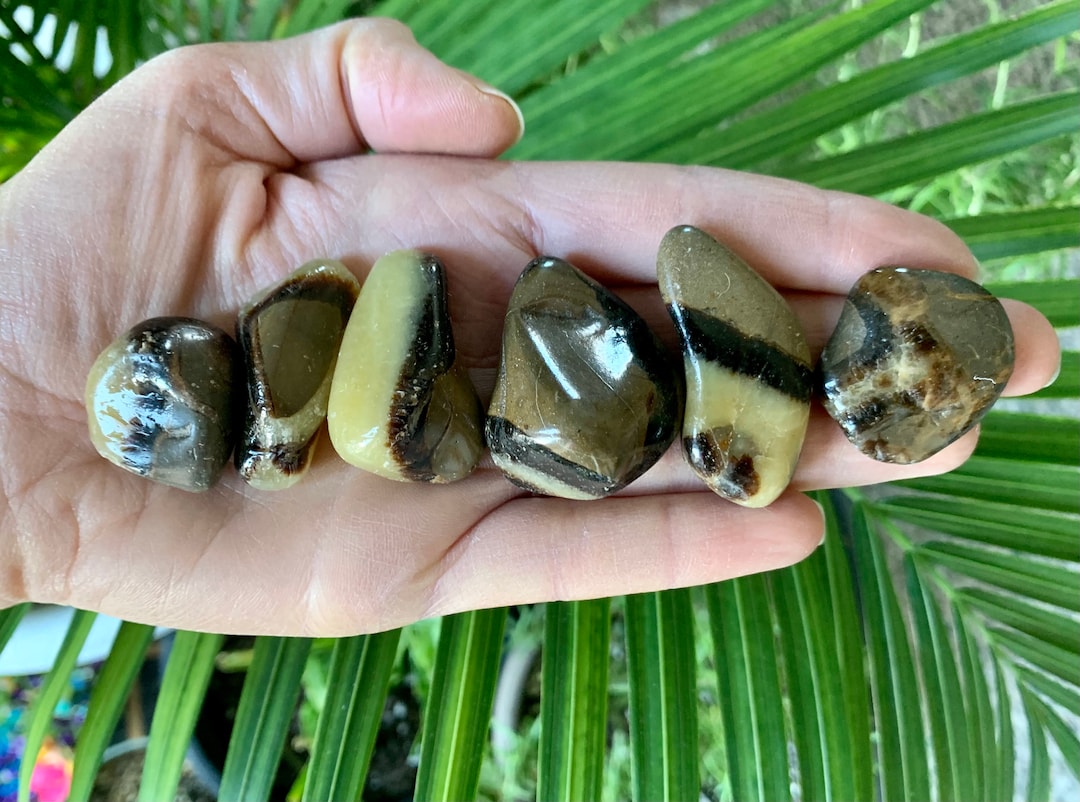 Septarian Tumbled Stone - Etsy