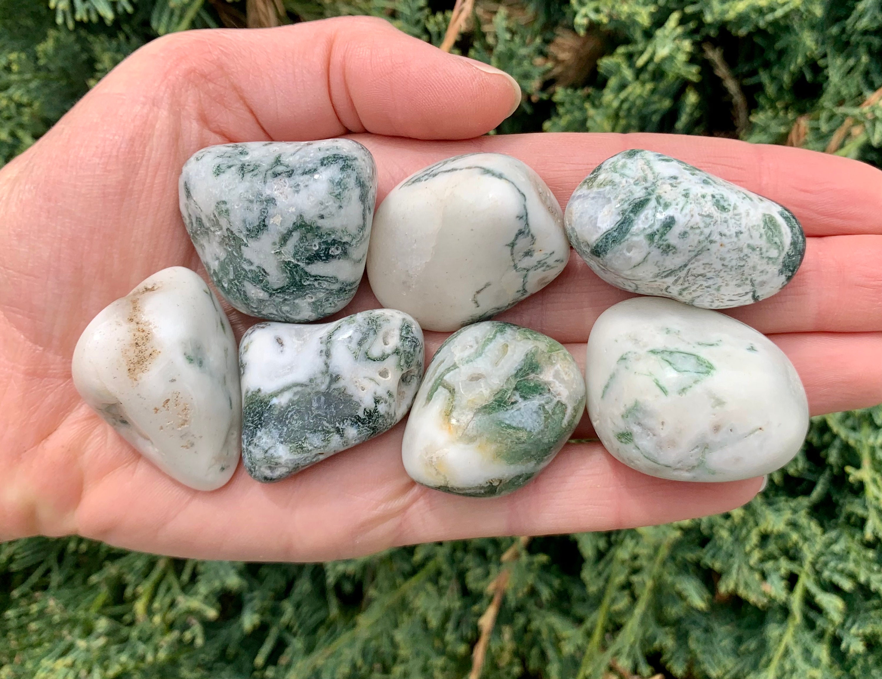 Tree Agate Tumbled Stone - Etsy