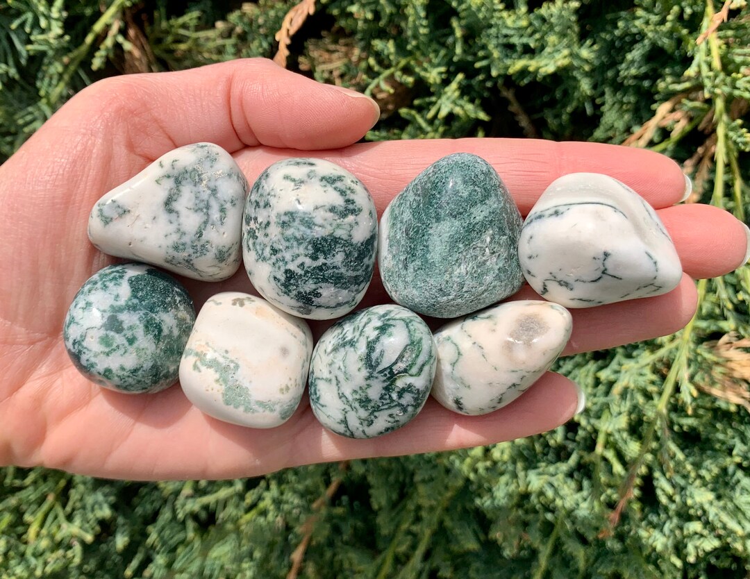 Tree Agate Tumbled Stone - Etsy