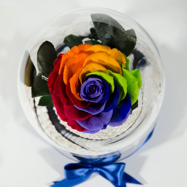 Rose in Glass Dome - Etsy