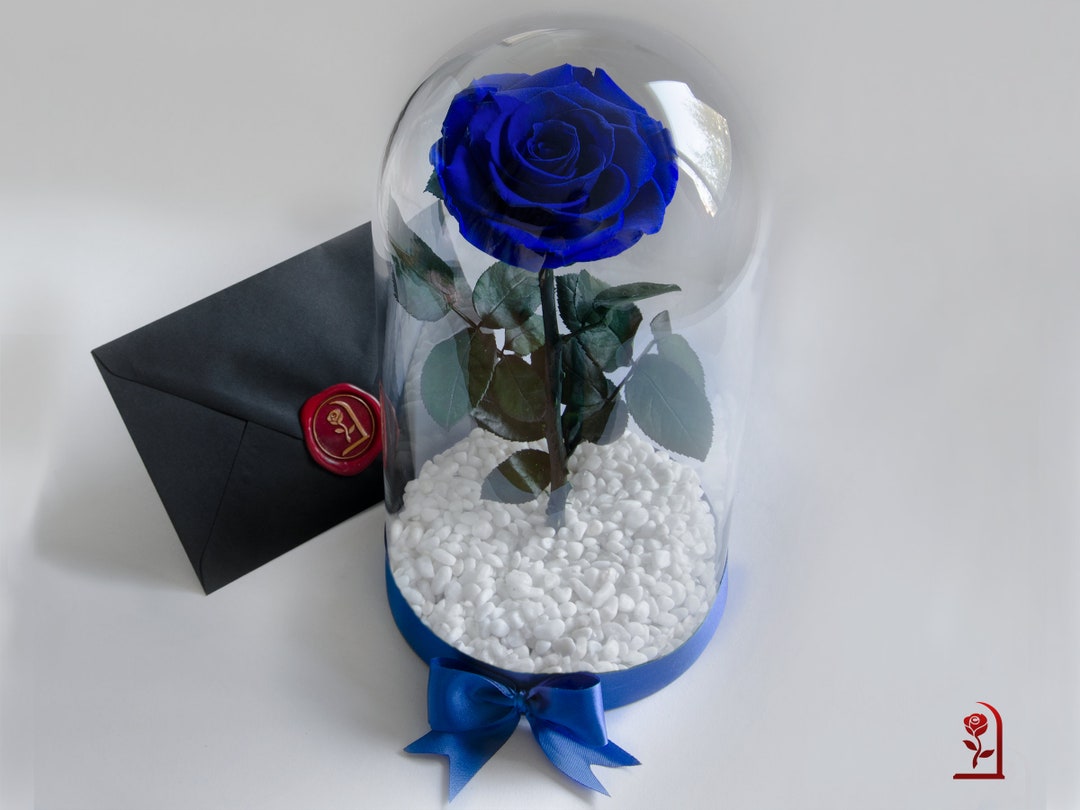 Real Blue Enchanted Rose in Glass Dome, Romantic Valentine’s Day Gift ...