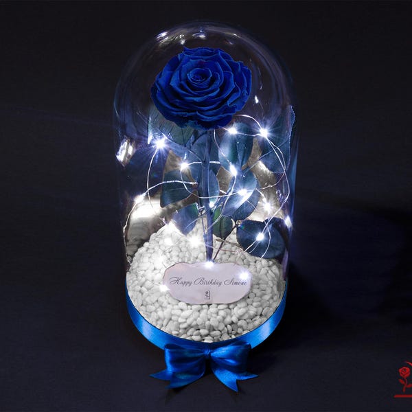 Rose Dome - Etsy