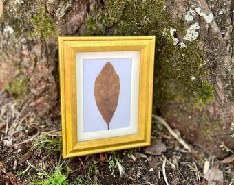 Pressed Leaf Frame - Etsy
