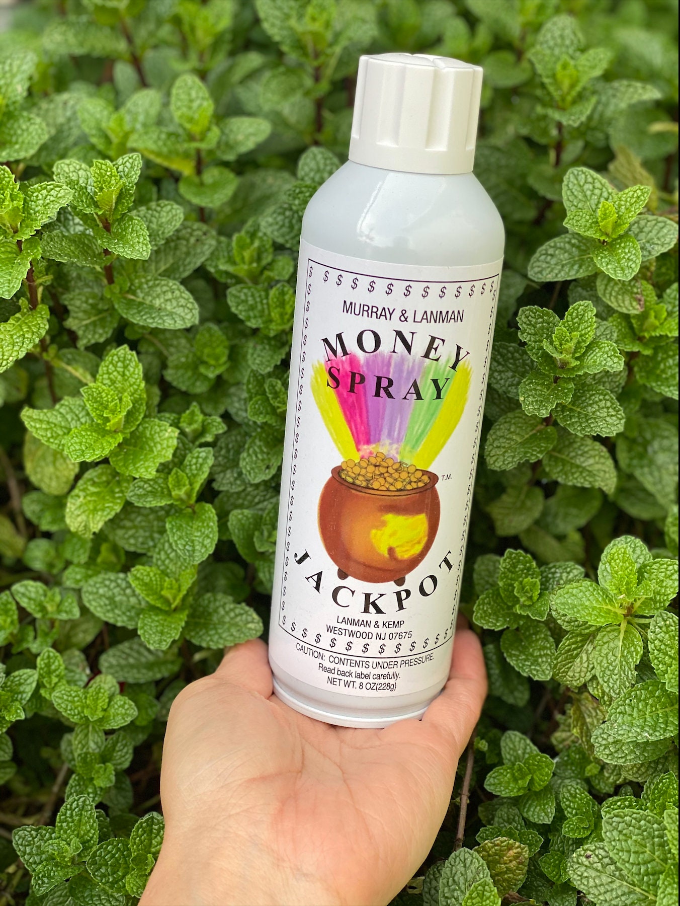Money Jackpot Spray/aerosol Murray & Lanman's Spiritual - Etsy
