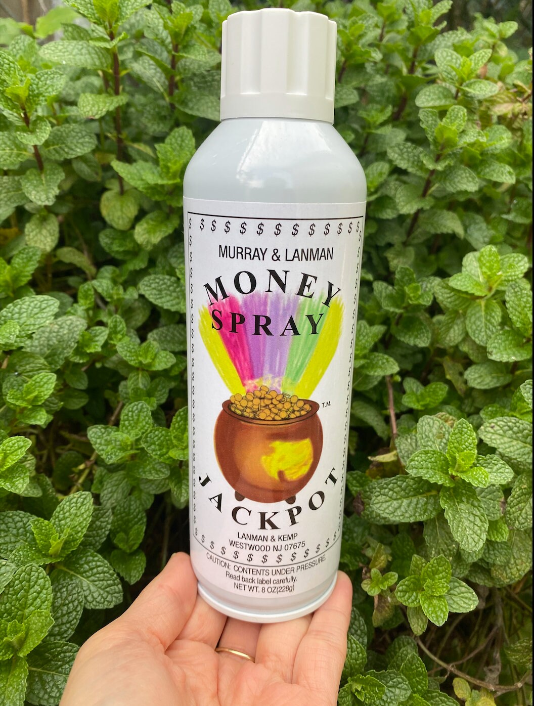 Money Jackpot Spray/aerosol Murray & Lanman's Spiritual - Etsy